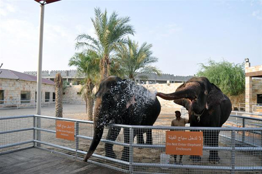 Emirates Park Zoo in Abu Dhabi - VisitAbuDhabi.ae